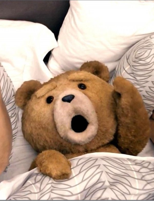 ted 高清图片,t,t_大山谷图库